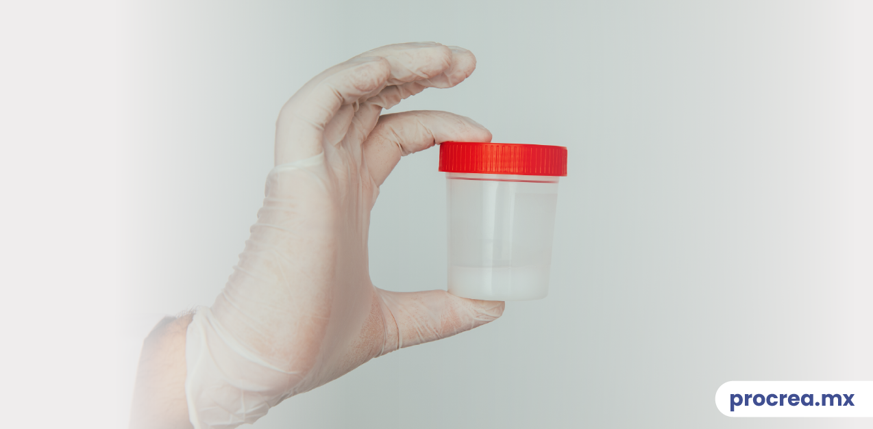 Conoce cómo es un lavado seminal | Procrea