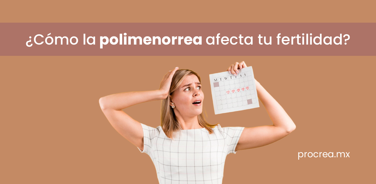 ¿Cómo la polimenorrea afecta tu fertilidad? | Procrea
