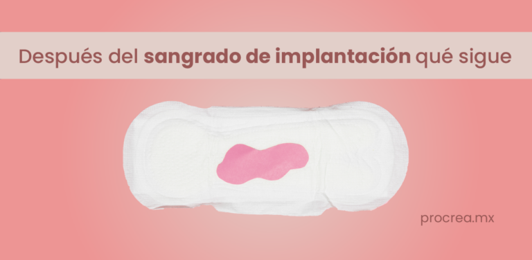 Después Del Sangrado De Implantación Qué Sigue Procrea