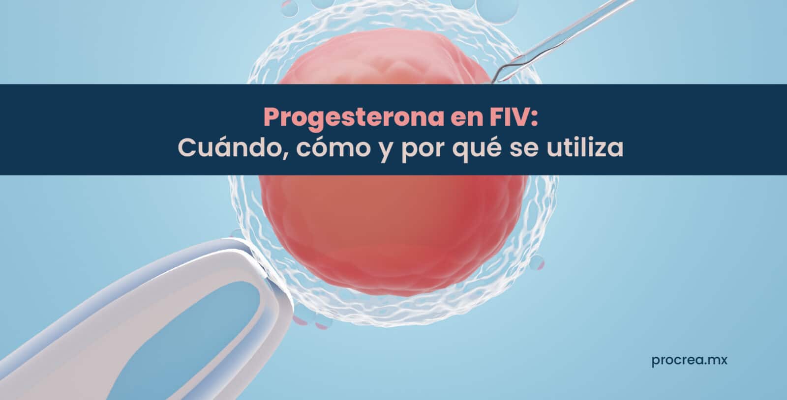 Progesterona en FIV: ¿cuándo, cómo y por qué se utiliza? | Procrea
